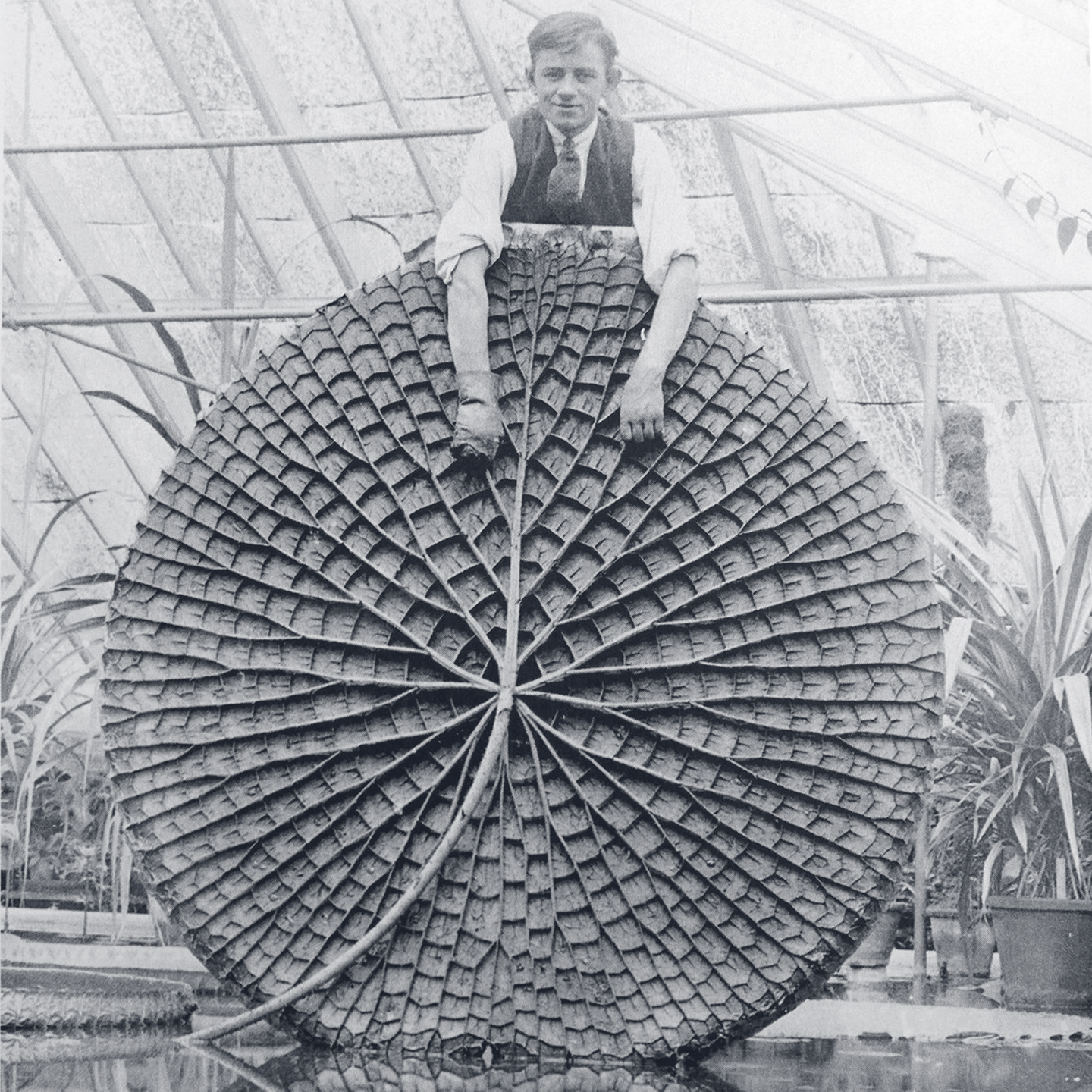 Treborth Botanic Gardens | Rural Office